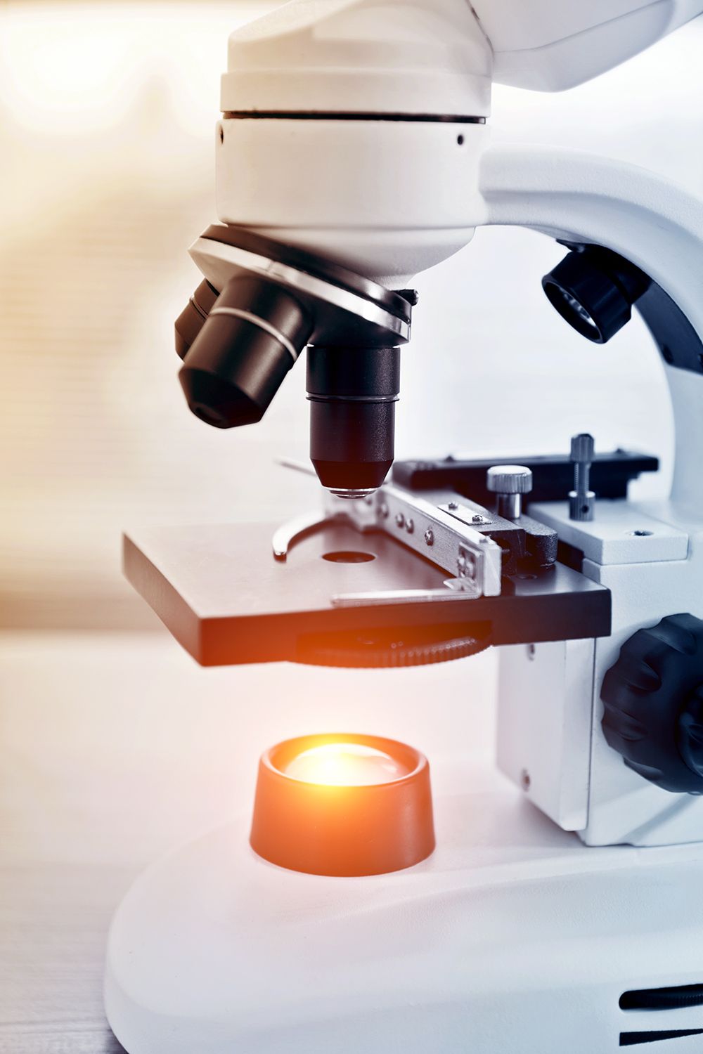 Mole Patrol | Skin Check Perth – Skin Check Perth